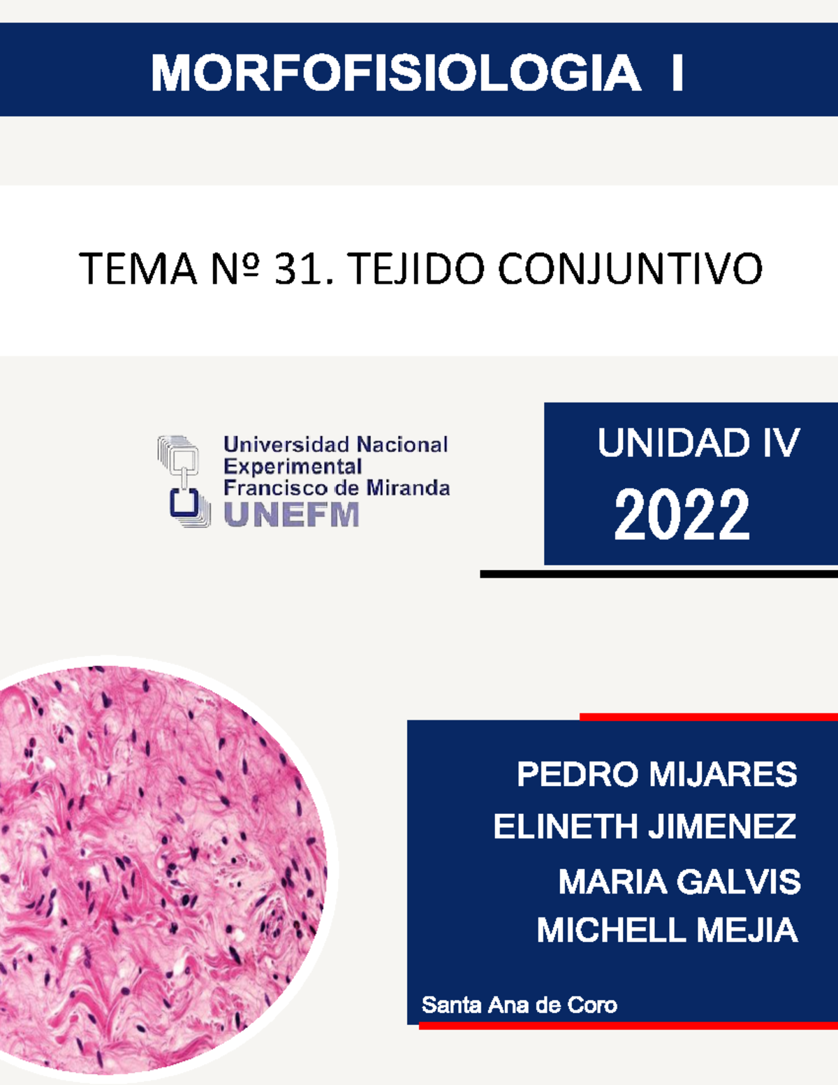TEMA Nº 31. Tejido Conjuntivo - TEMA Nº 31. TEJIDO CONJUNTIVO Letras ...