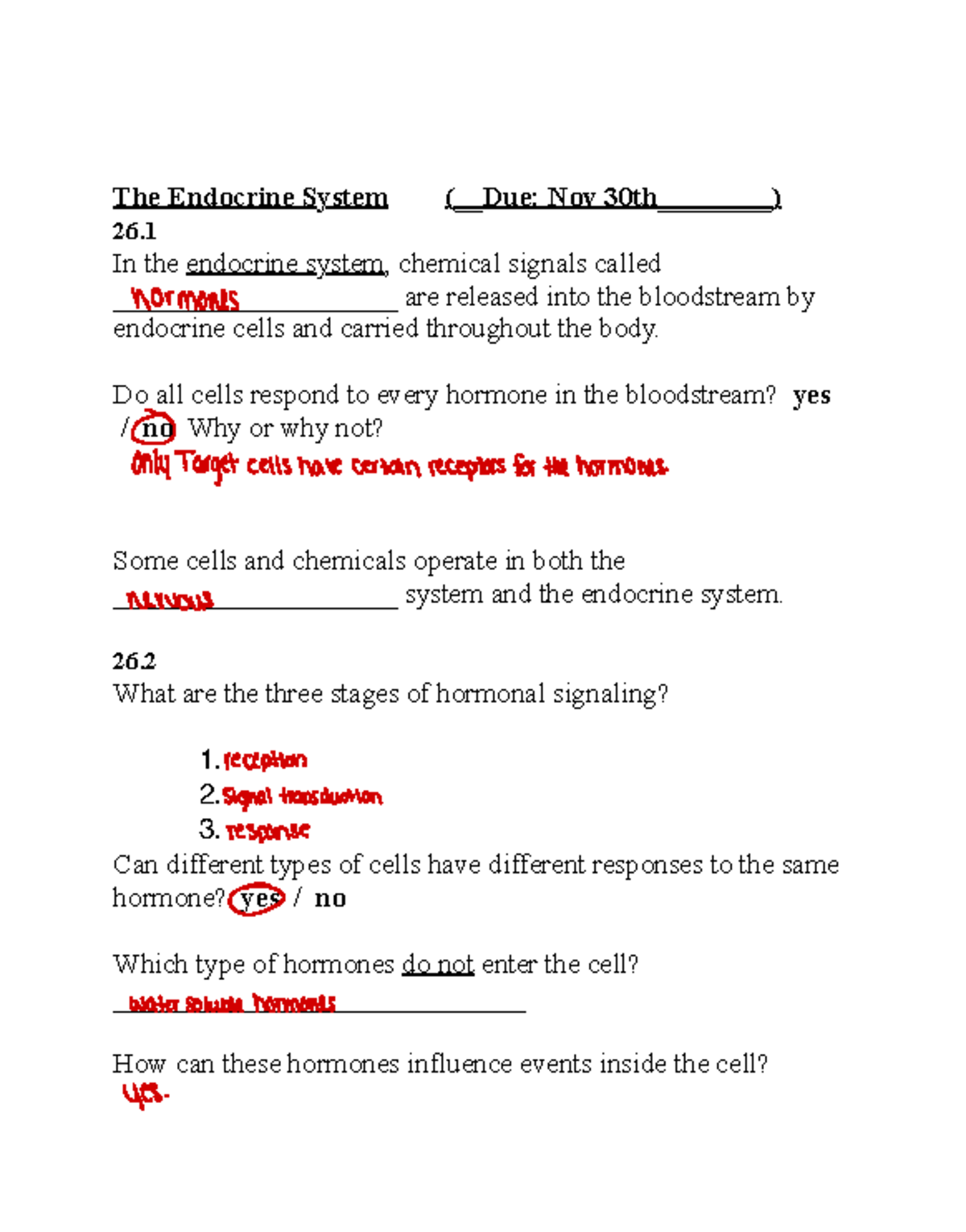 The Endocrine System - In the endocrine system, chemical signals called