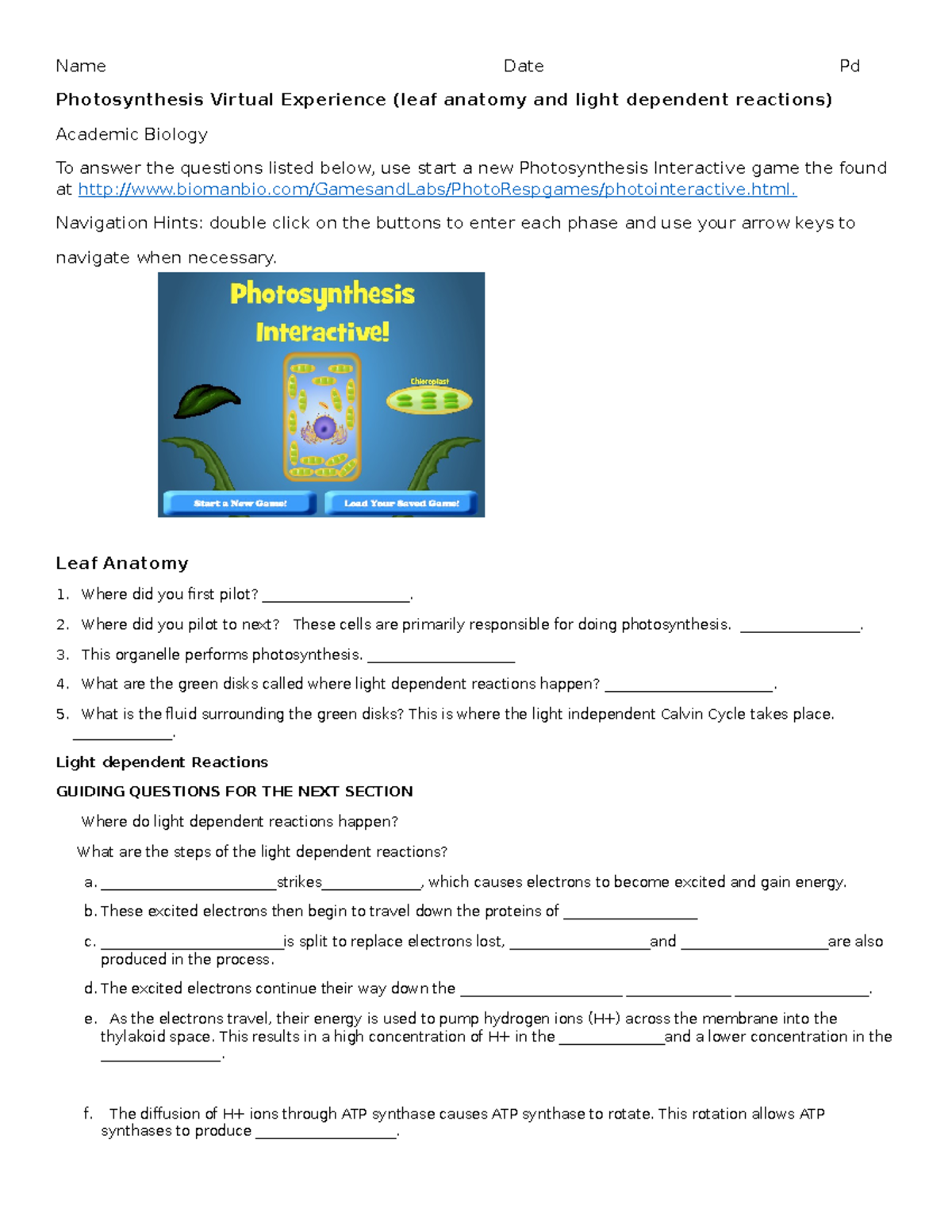 Photosynthesis activity and game worksheet leaf anatomy and LD RXN ...