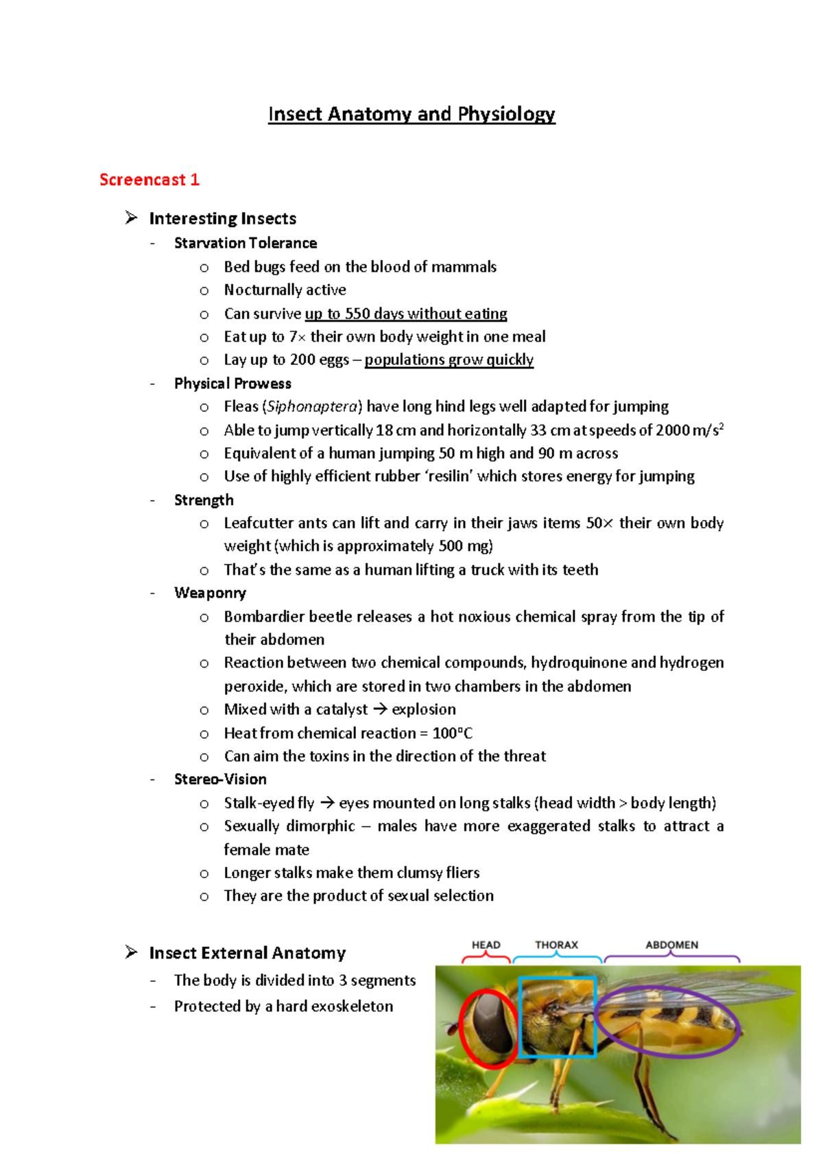 Lecture 3 insect anatomy - Insect Anatomy and Physiology Screencast 1 Ø ...