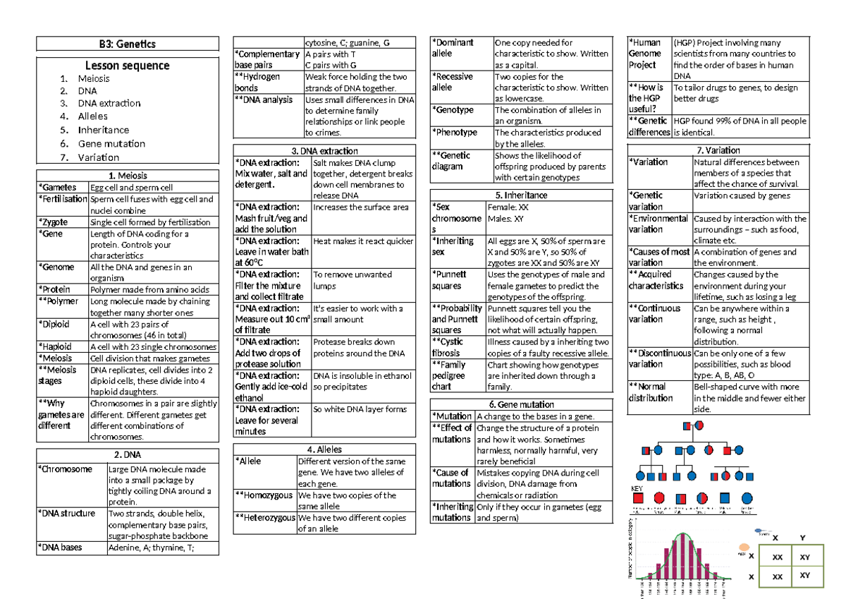 KO B3 Genetics - bio - B3: Genetics Lesson sequence 1. Meiosis 2. DNA 3 ...