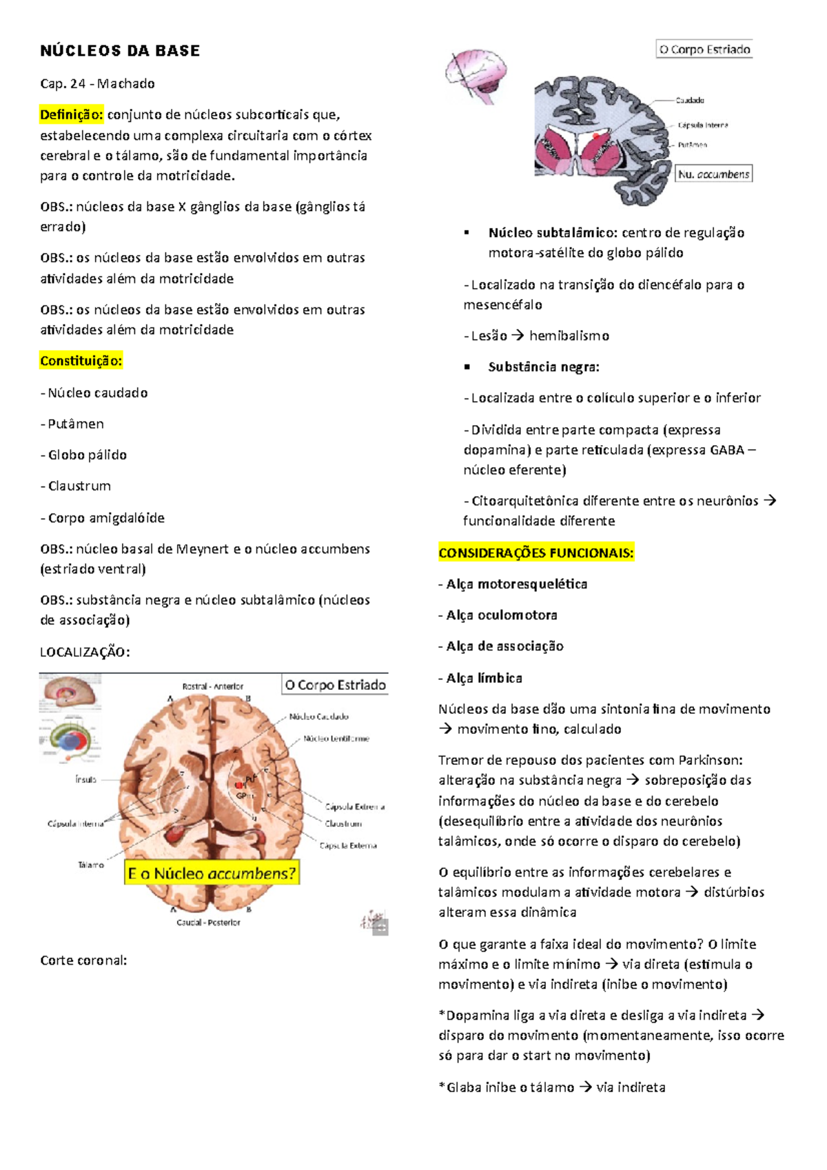 Núcleos da base - Aula ministrada pelo professor Rodolfo Cavalcante na ...
