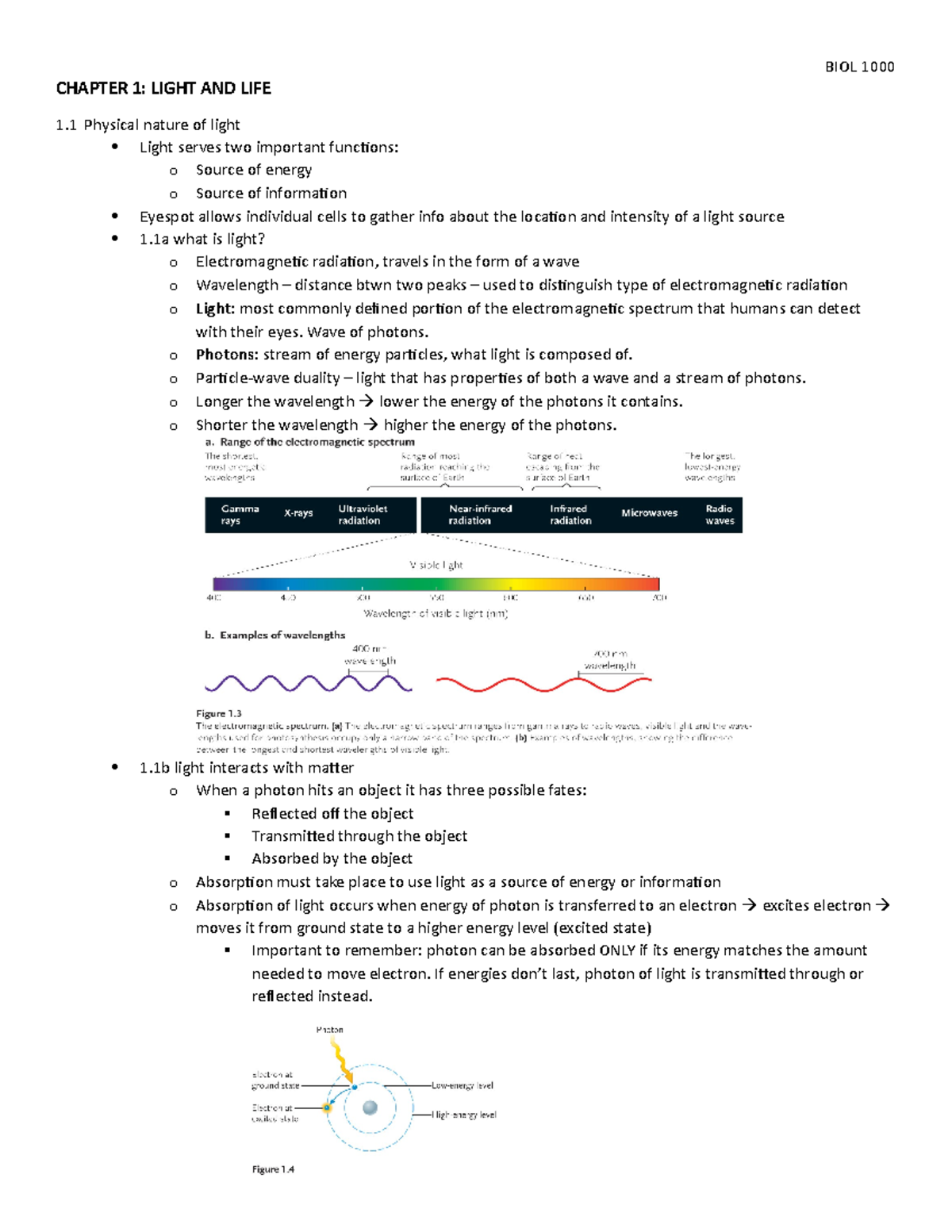 Chapter 1 notes - BIOL 1000 CHAPTER 1: LIGHT AND LIFE 1 Physical nature ...