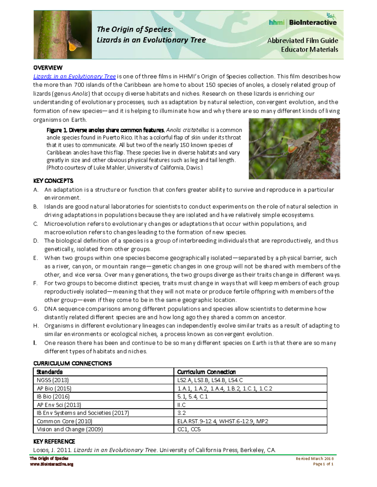Lizard Film Guide - The Origin of Species Revised March 2018 ...