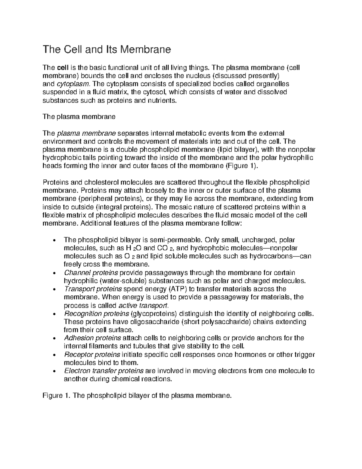 Cell membrane - read - The Cell and Its Membrane The cell is the basic ...