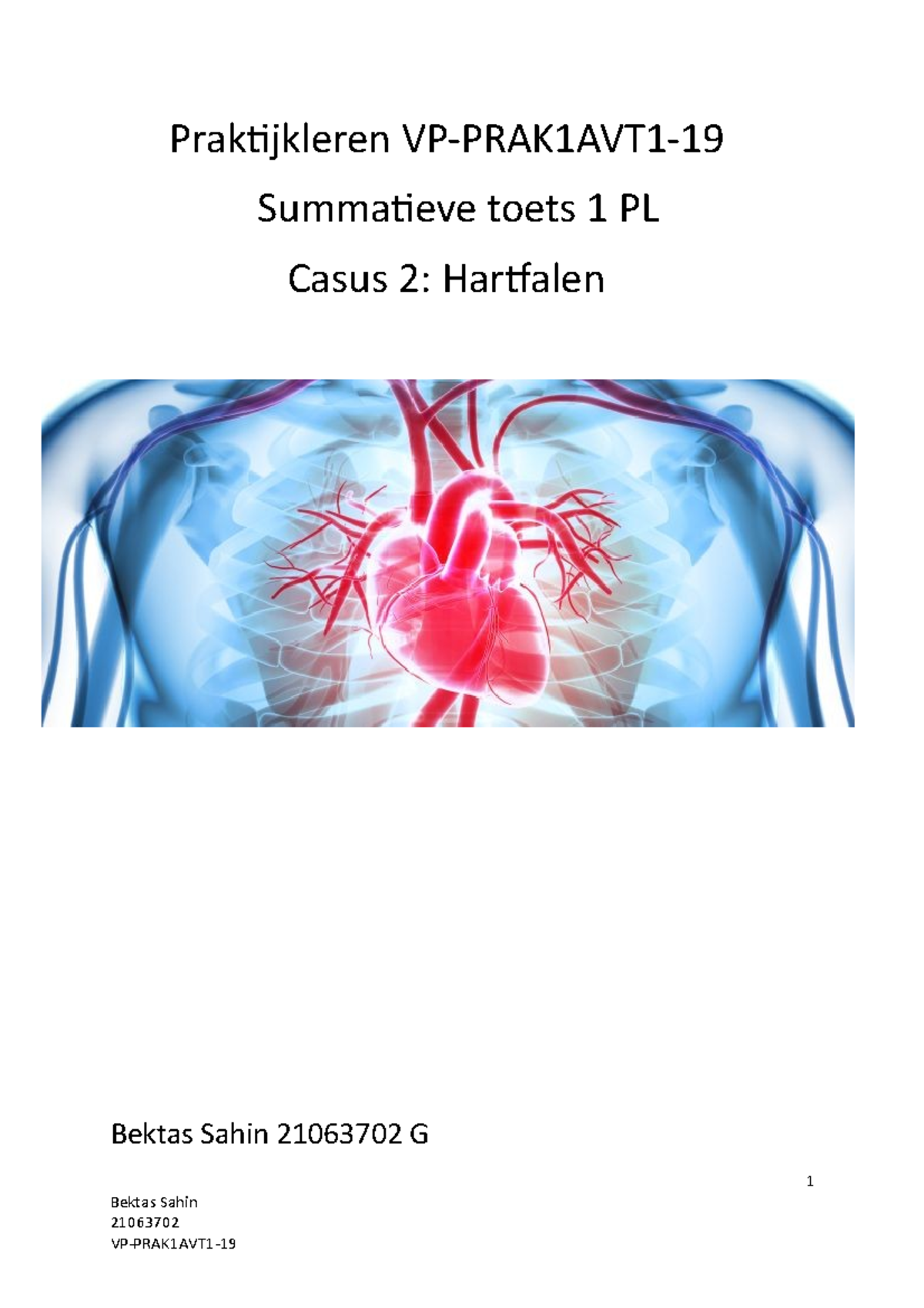 Praktijkleren VP verslag over hartfalen - Verpleegkundige methodiek en ...
