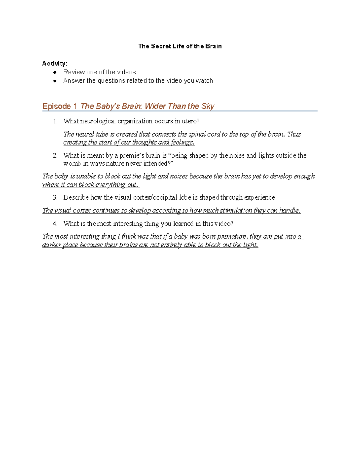 Assignment-The Secret Life of the Brain - The Secret Life of the Brain ...