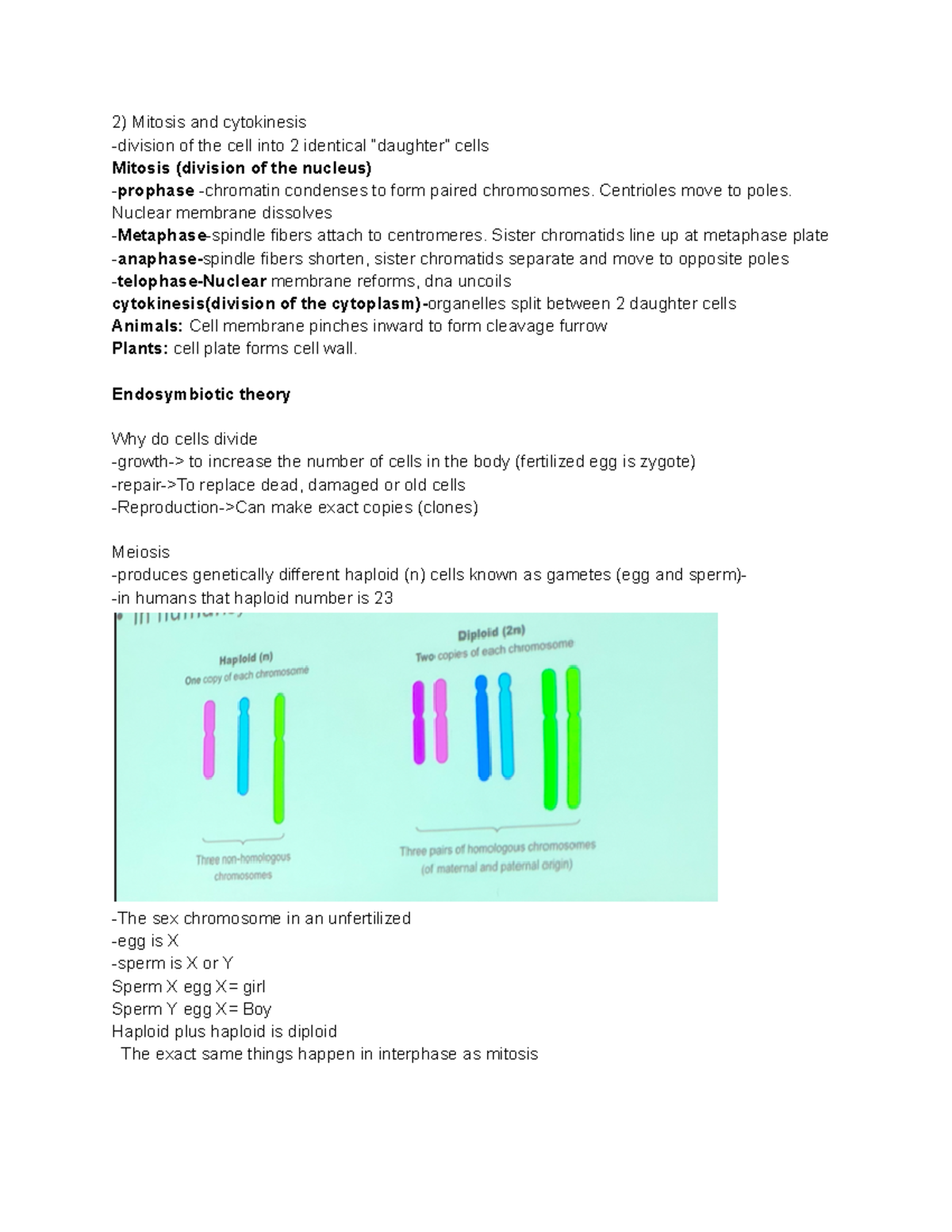 Pt3 - Cell notes continued again - Mitosis and cytokinesis -division of ...