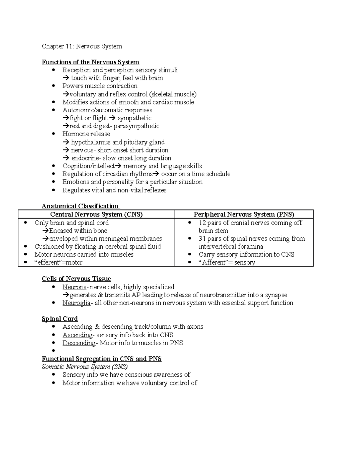 Anatomy Exam 3 Study Guide - Chapter 11: Nervous System Functions of ...