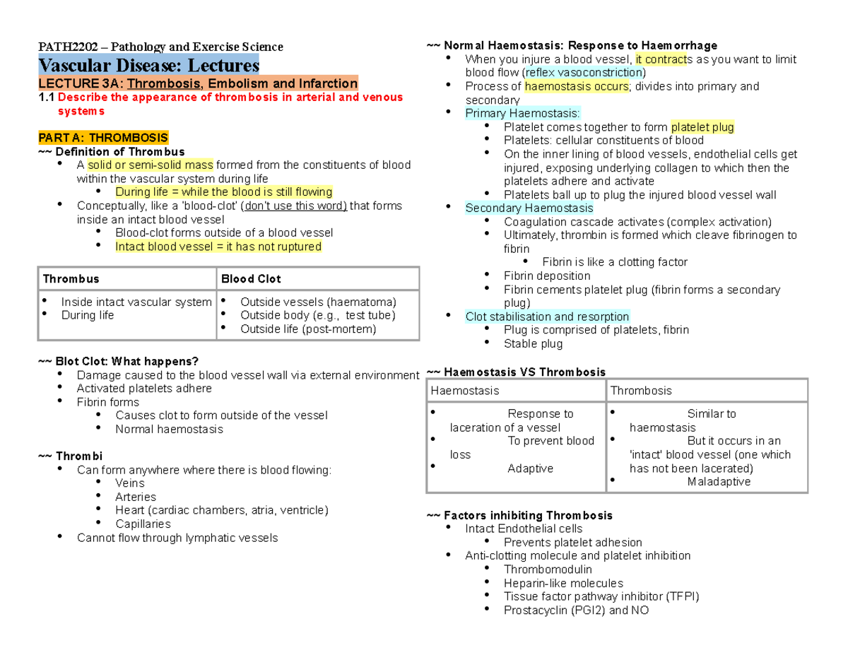 Vascular Disease - PATH2202 – Pathology and Exercise Science Vascular ...