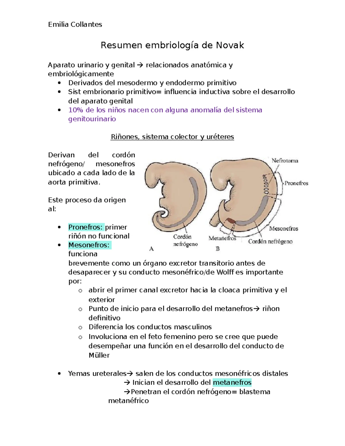 Línea del tiempo de embriología aparato reproductor masculino - Semana ...