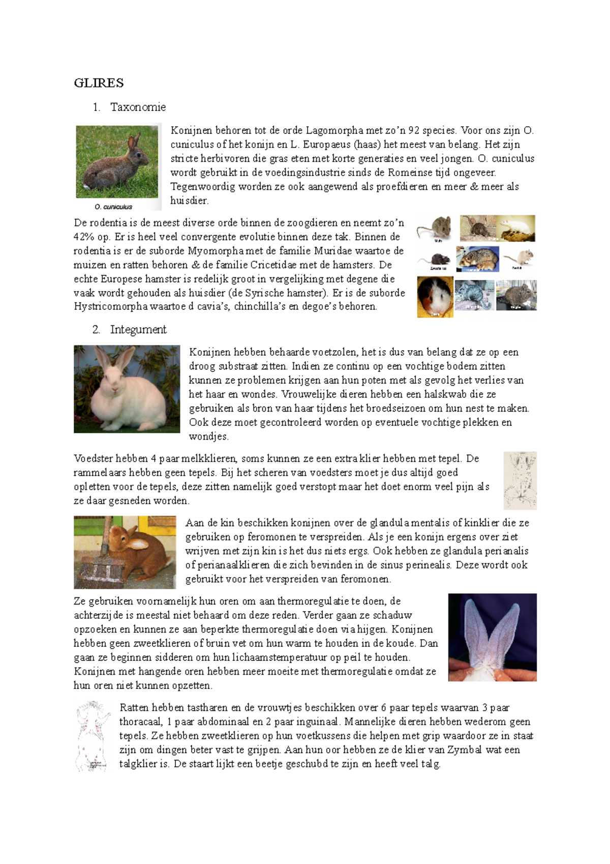 Tokla II - glires - GLIRES 1. Taxonomie Konijnen behoren tot de orde ...