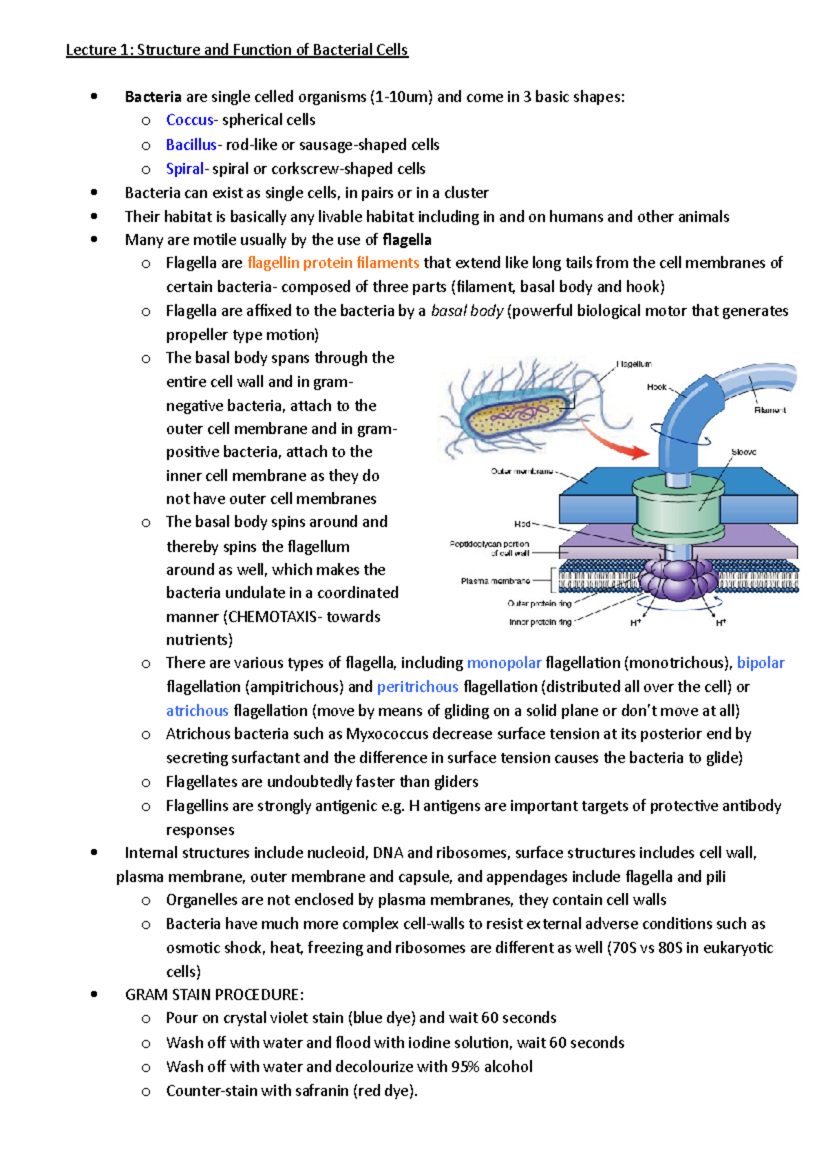 Microbiology Notes - Lecture 1: Structure and Function of Bacterial ...