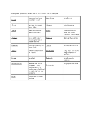 APES Summer Assignment - APES Summer Assignment Welcome to AP ...