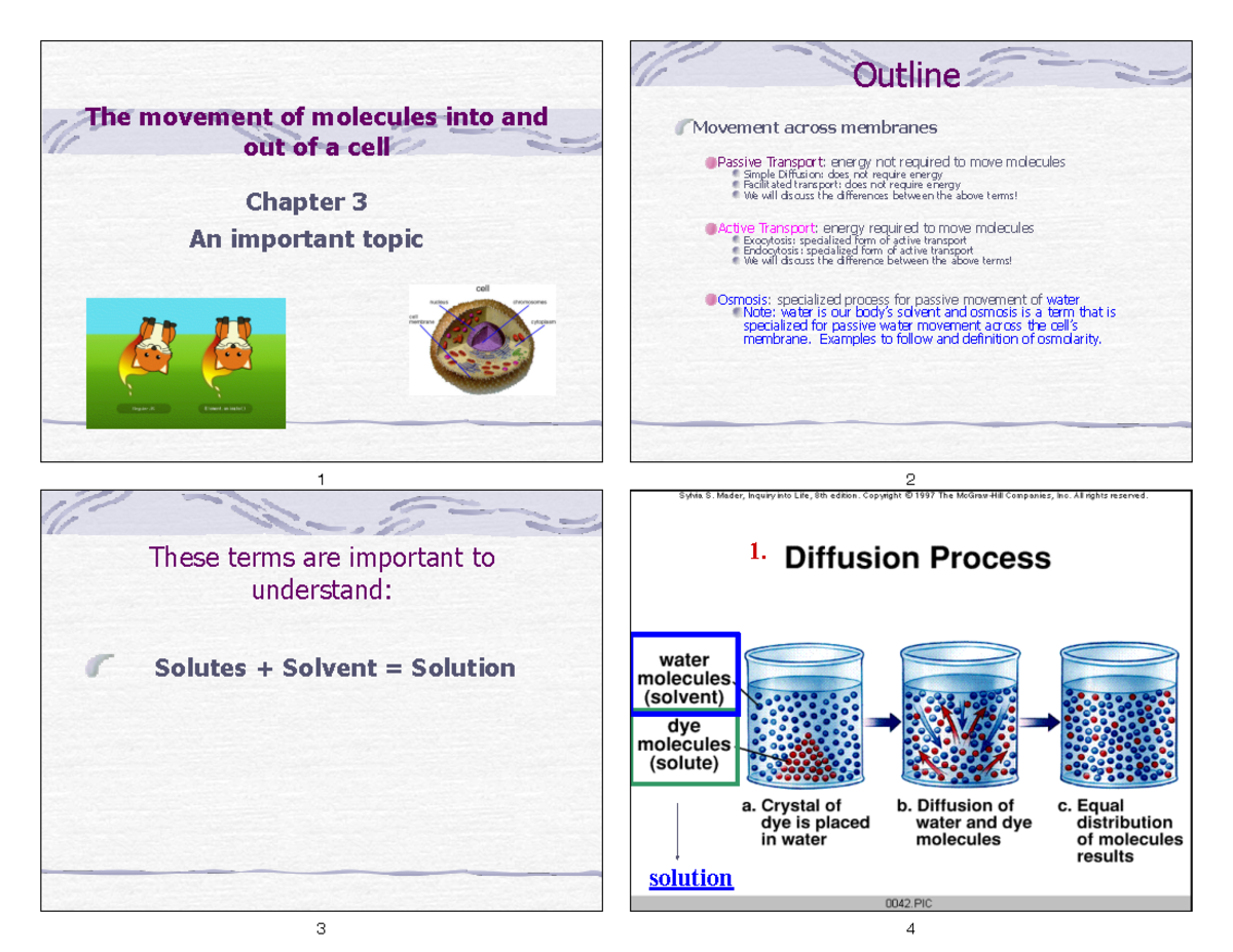 Bio 2 Ch 3 Cell Transport Lecture Powerpoint - The movement of ...