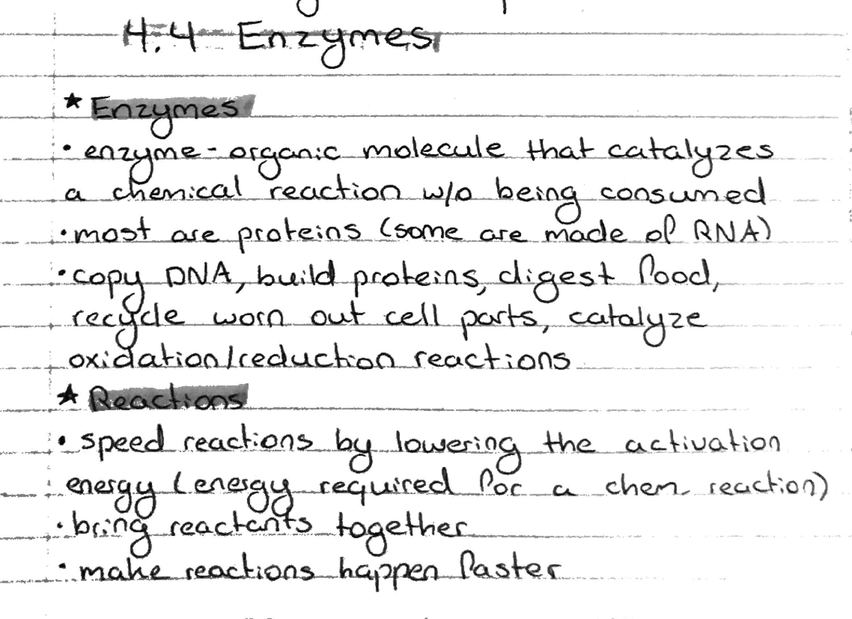 McGraw Hill Connect Chapter 4 4 BIO 1320 Studocu