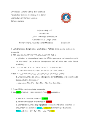 Transcription-Guide - Transcription guide - 1 Guide to Transcribing ...