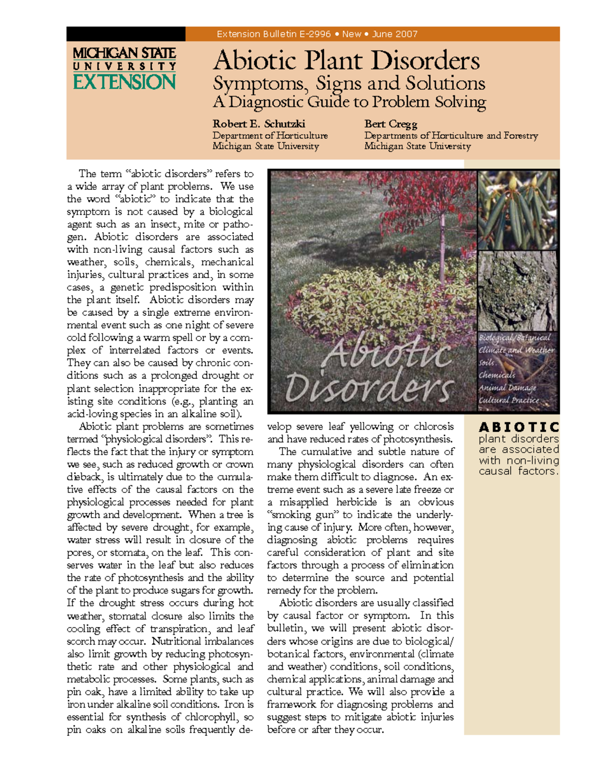 Assignment Description for Required Course Materials for the 2020/2021 semester. - Abiotic Plant ...