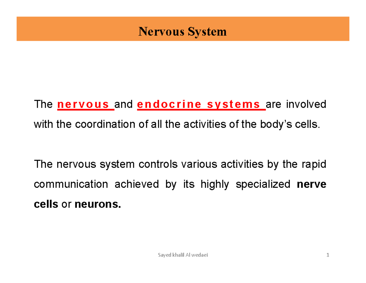 88 - Notes for studying - The nervous and endocrine systems are ...