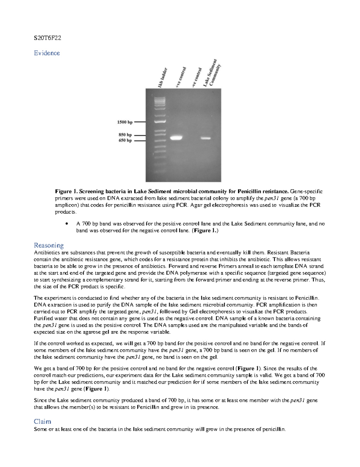 Siraj.S20.DNA CER - S20T6F Evidence Figure 1. Screening bacteria in ...