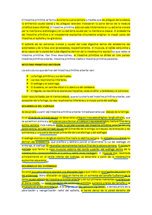 Resumen Embrio Renal - medicina - DESARROLLO EMBRIOLÓGICO RENAL ...