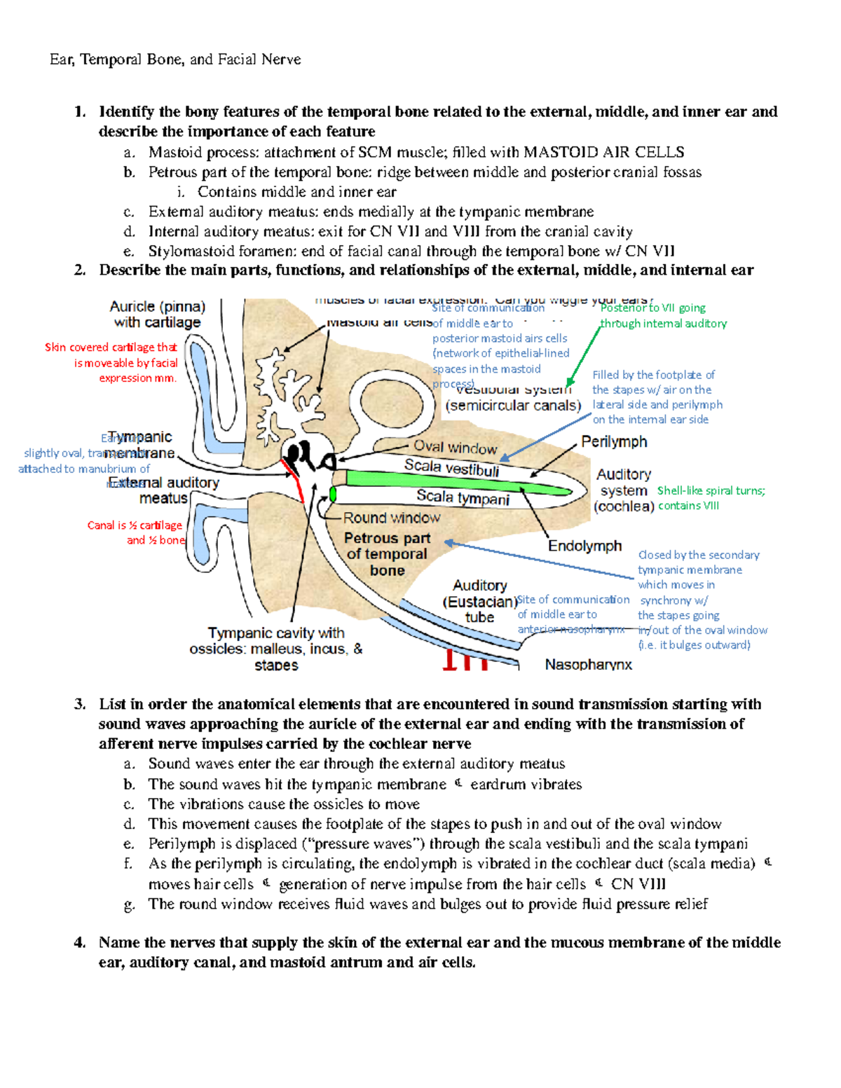 Ear, temporal bone and facial nerve head n neck - Ear, Temporal Bone ...