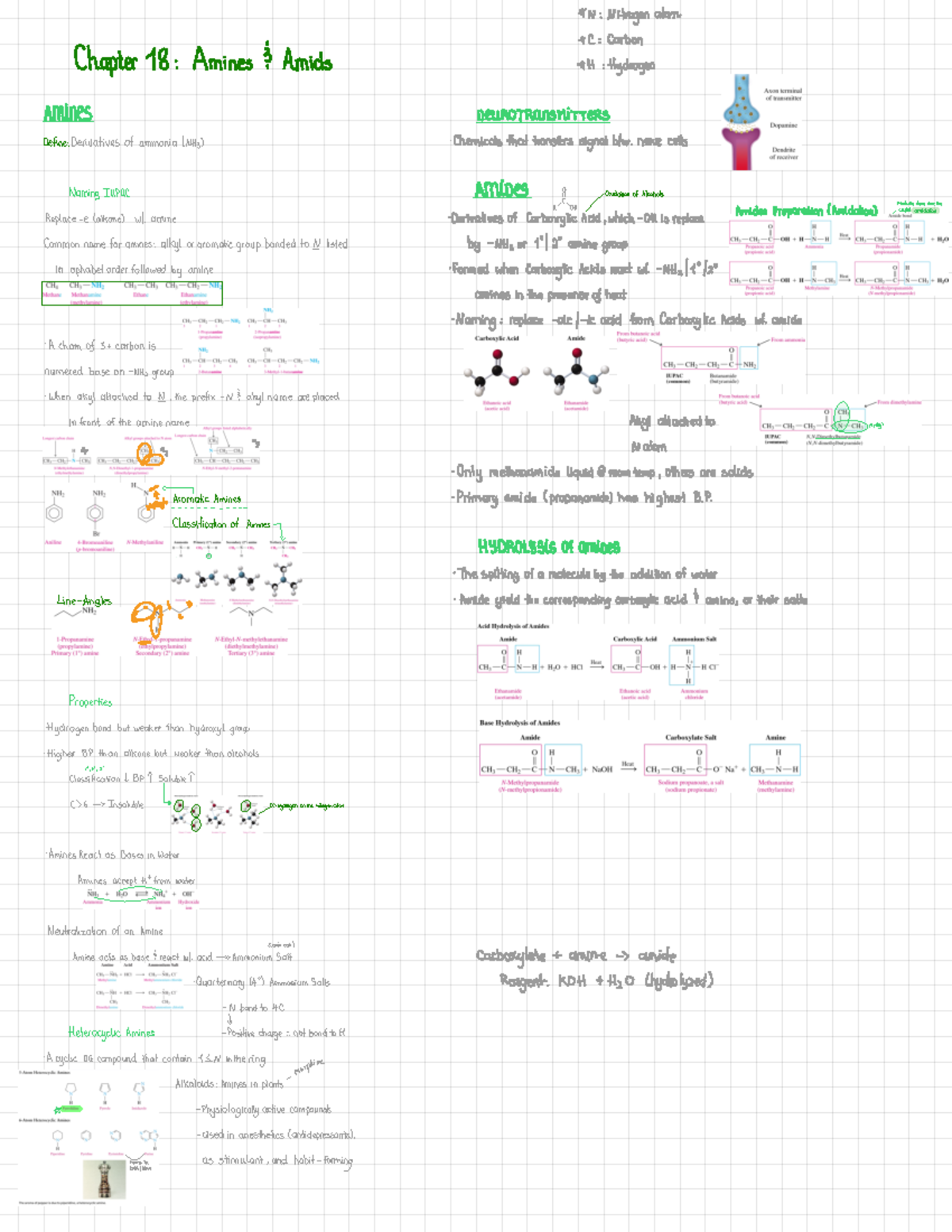 CHEM1152 C18 - Amines and amides are important classes of nitrogen ...