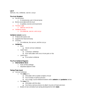 Anatomy Practical 2 - ANATOMY PRACTICAL # Brain nabe¥¥one ÷÷"""÷""" ÷ ...