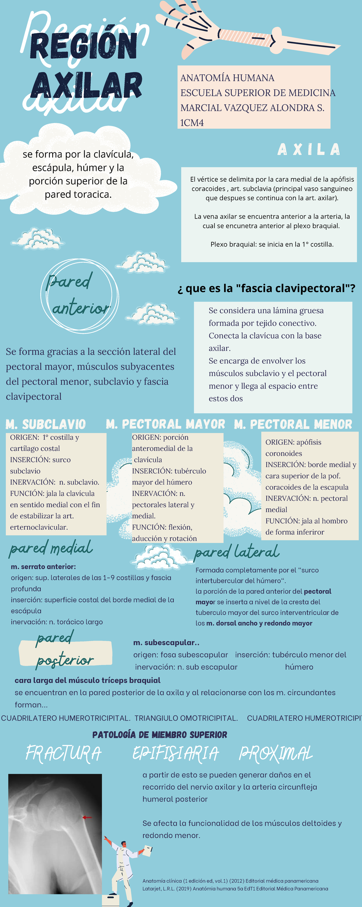 Región Axilar Marcial Vazquez Alondra - Región axilar Pared anterior m ...