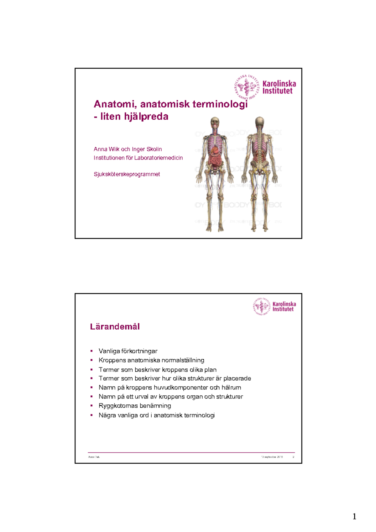 Ht16 Anatomi, liten hjälpreda, inspeln - Anatomi, anatomisk terminologi ...