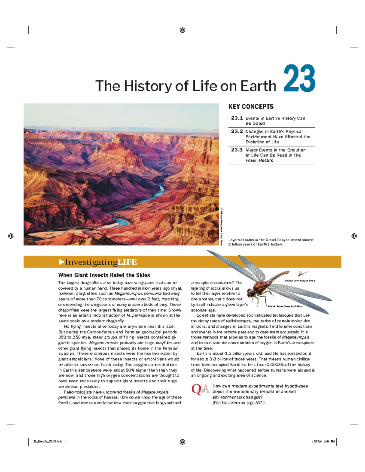 Ch23-Life The Science of Biology 12th Ed 2020 - 23 Layers of rocks in ...