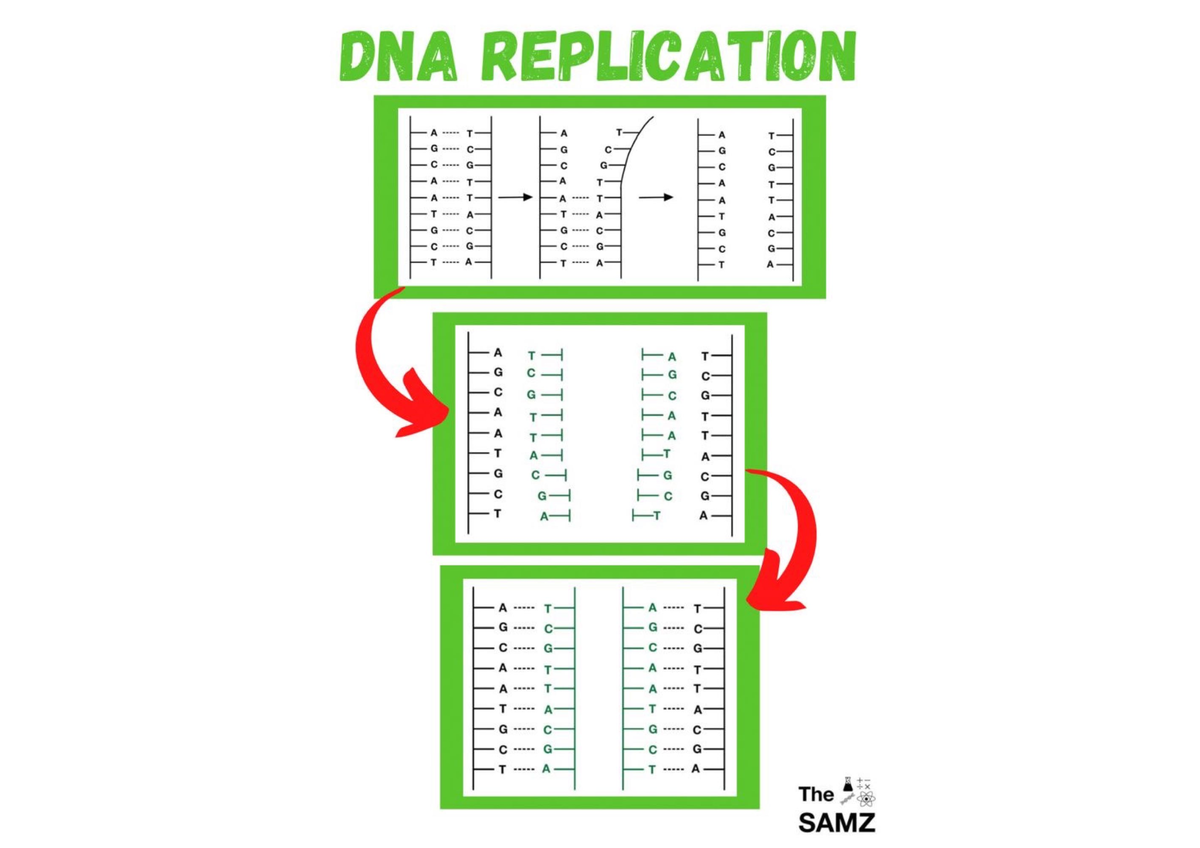 Learning with microbiology - BSC 242 - Studocu