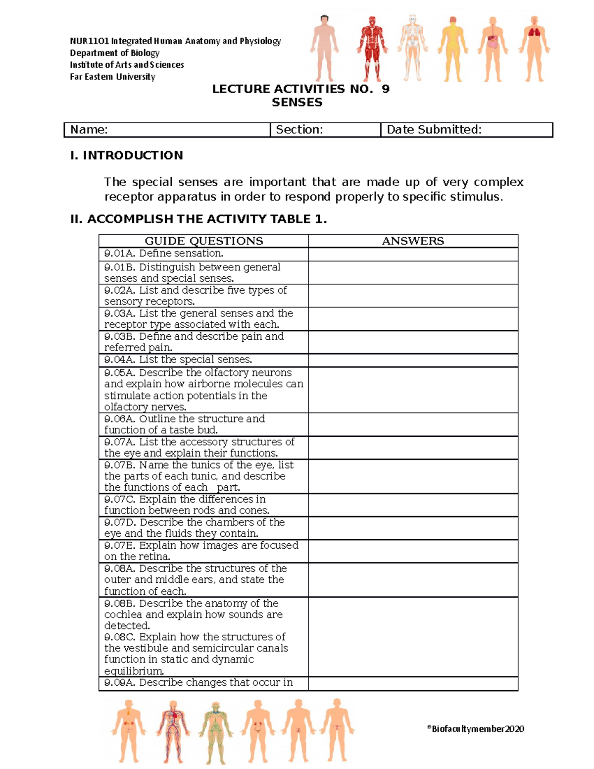 LEC Activity 9 Senses - NUR11O1 Integrated Human Anatomy and Physiology ...