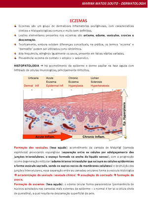 AULA3 - DST (tabela) - Resumo Dermatologia - CANCRO Cancro Duro Goma RY ...