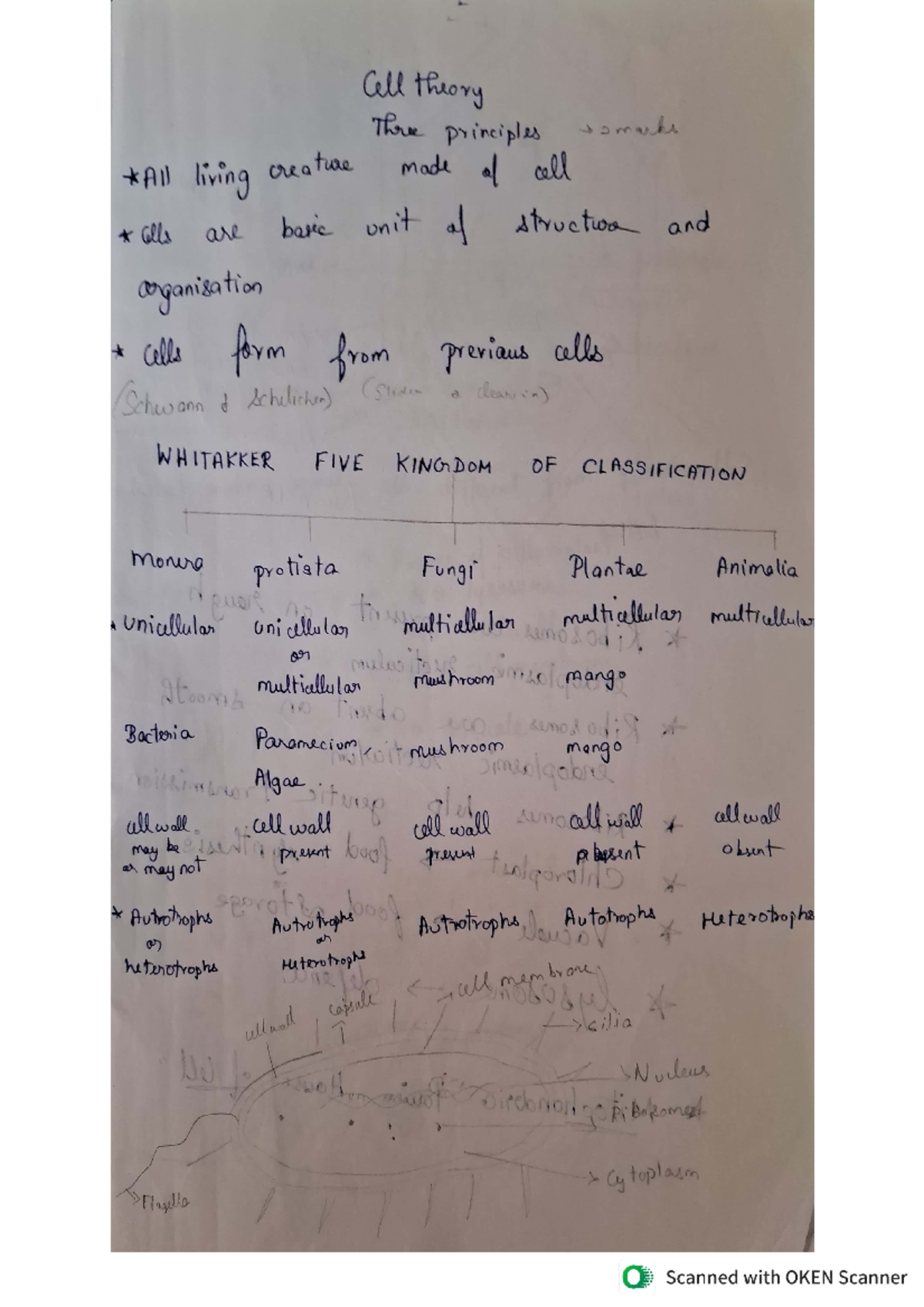 Biology - computer graphics - Studocu