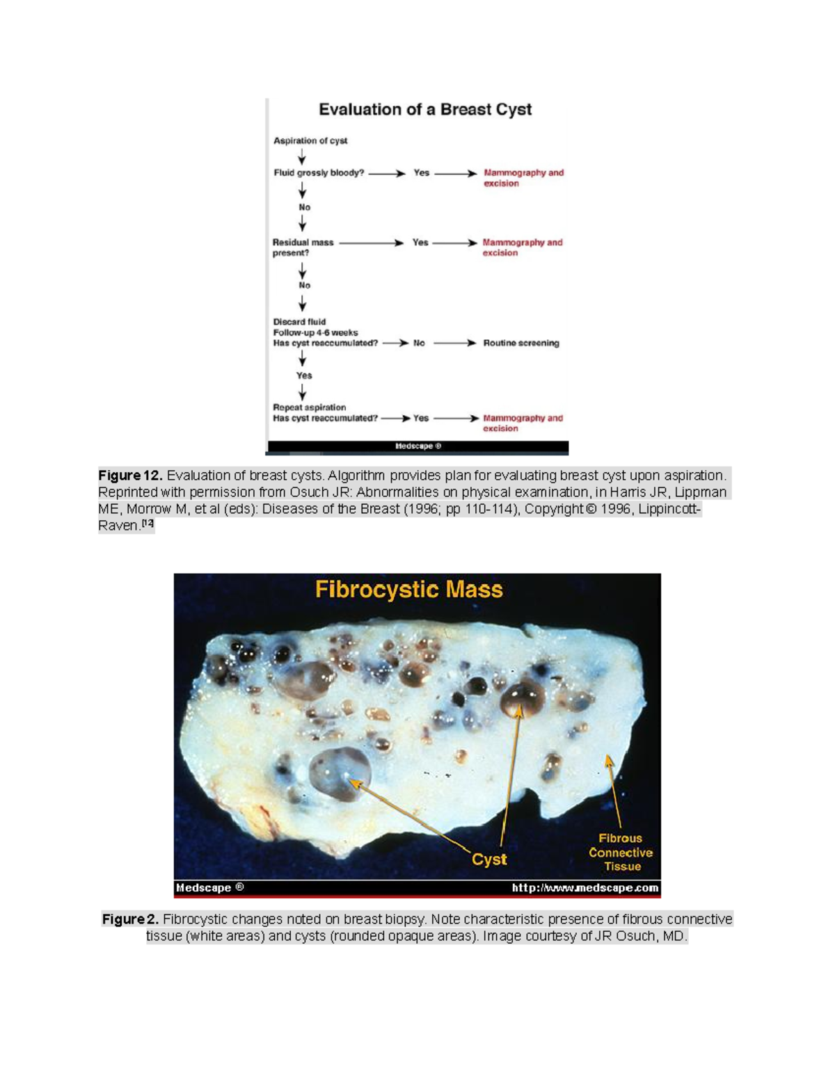 Figure 12 - bbbbbbbbbbbbbbbbbbbbbbb bbbbbbbbbbbbbbbbbbbbbbbbbbbb ...