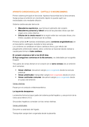 Musculos cara - Resumen de músculos de la cara - Músculo Ilustración ...