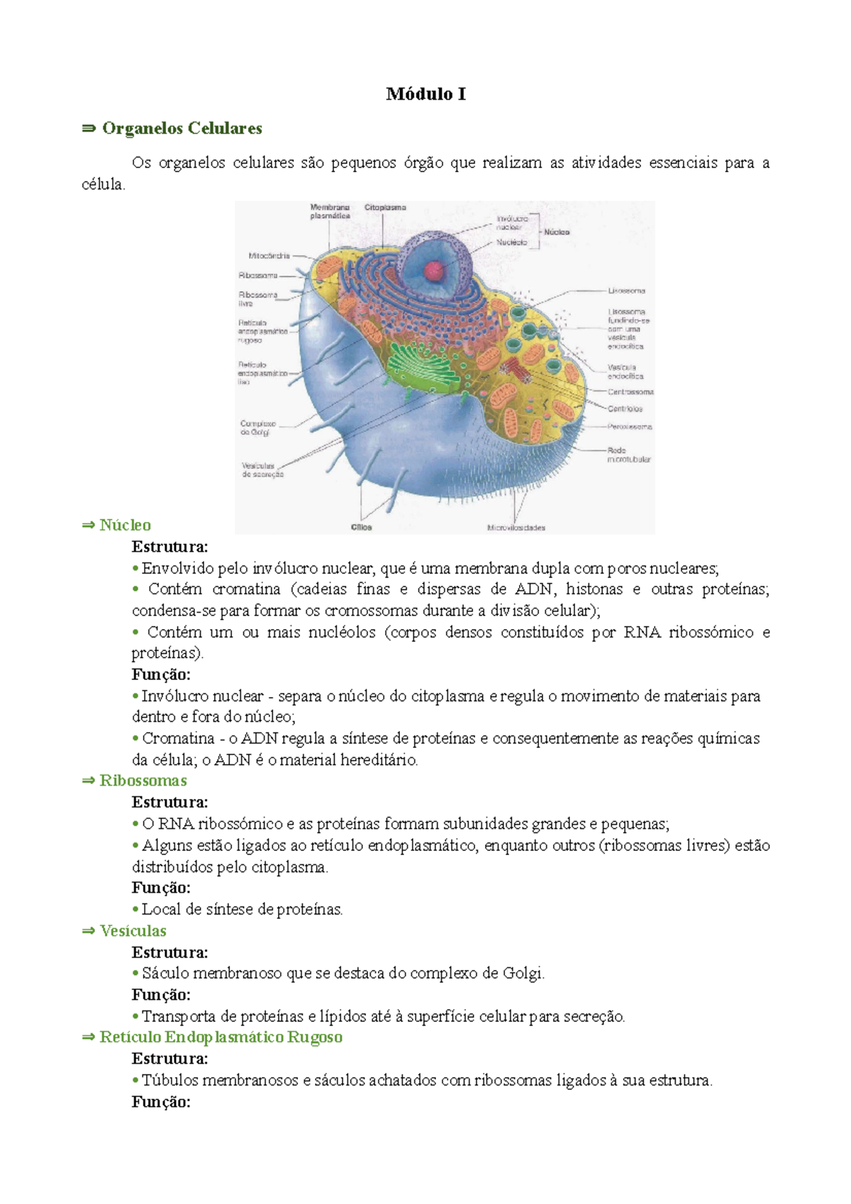 Resumos de BCM 1 - contém exercícios - Módulo I ⇛ Organelos Celulares Os organelos celulares são ...
