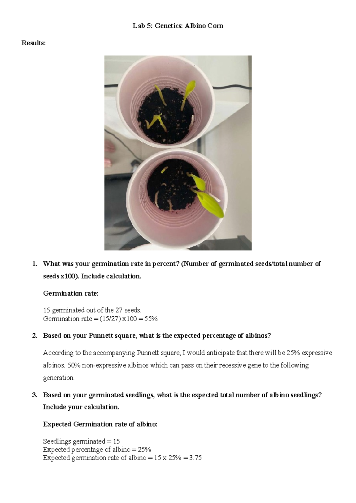 Lab 5 Genetics Albino Corn Biol 204 - Lab 5: Genetics: Albino Corn ...