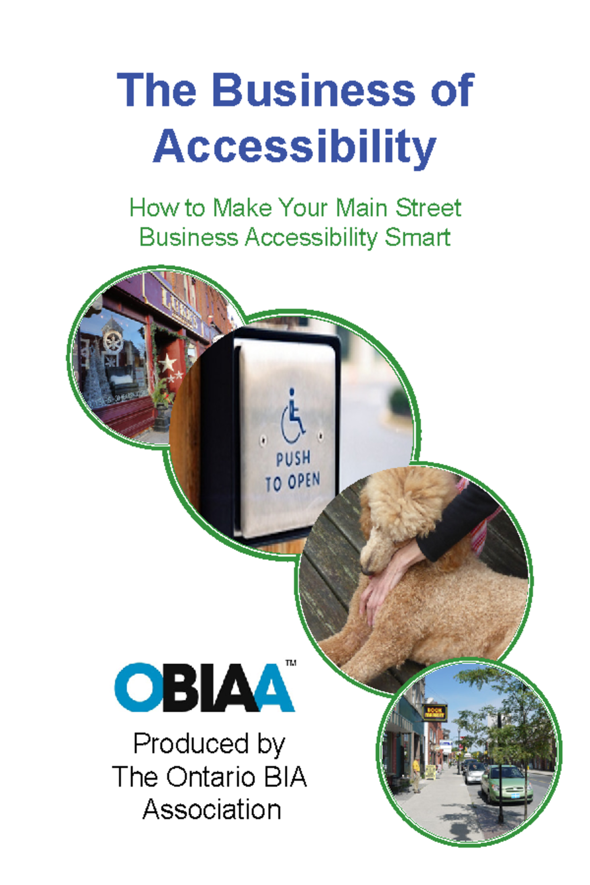 Business of Accessibility AV Handbook August 2019 - The Business of ...