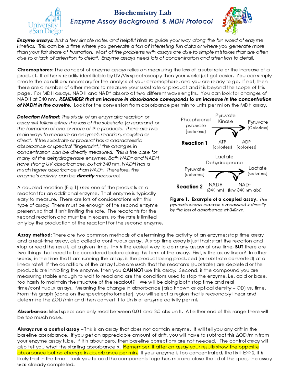 Biochem Lab Enzyme Assay Background 2014 v2 - Biochemistry Lab Enzyme ...