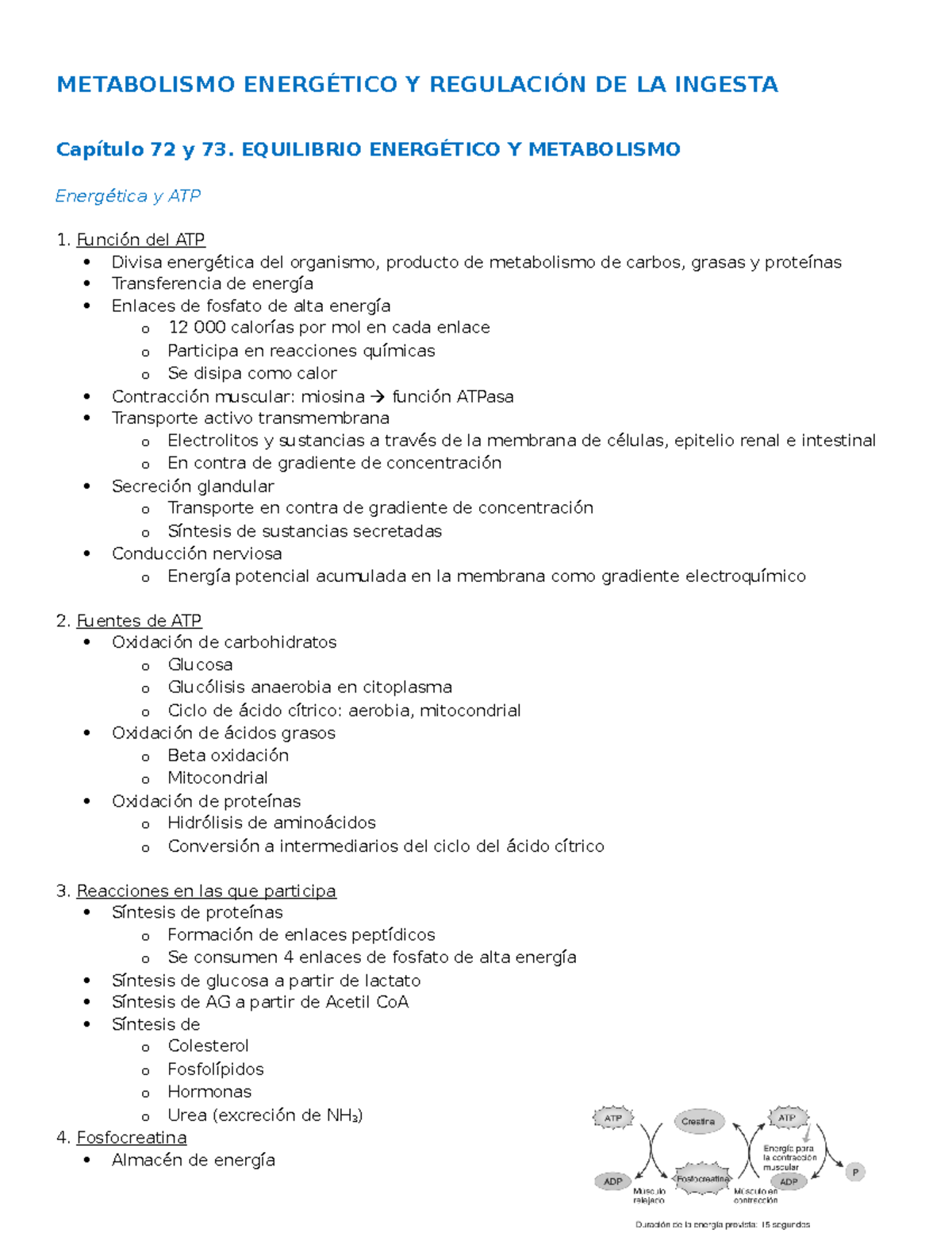 11. Energética y Metabolismo - METABOLISMO ENERGÉTICO Y REGULACIÓN DE ...