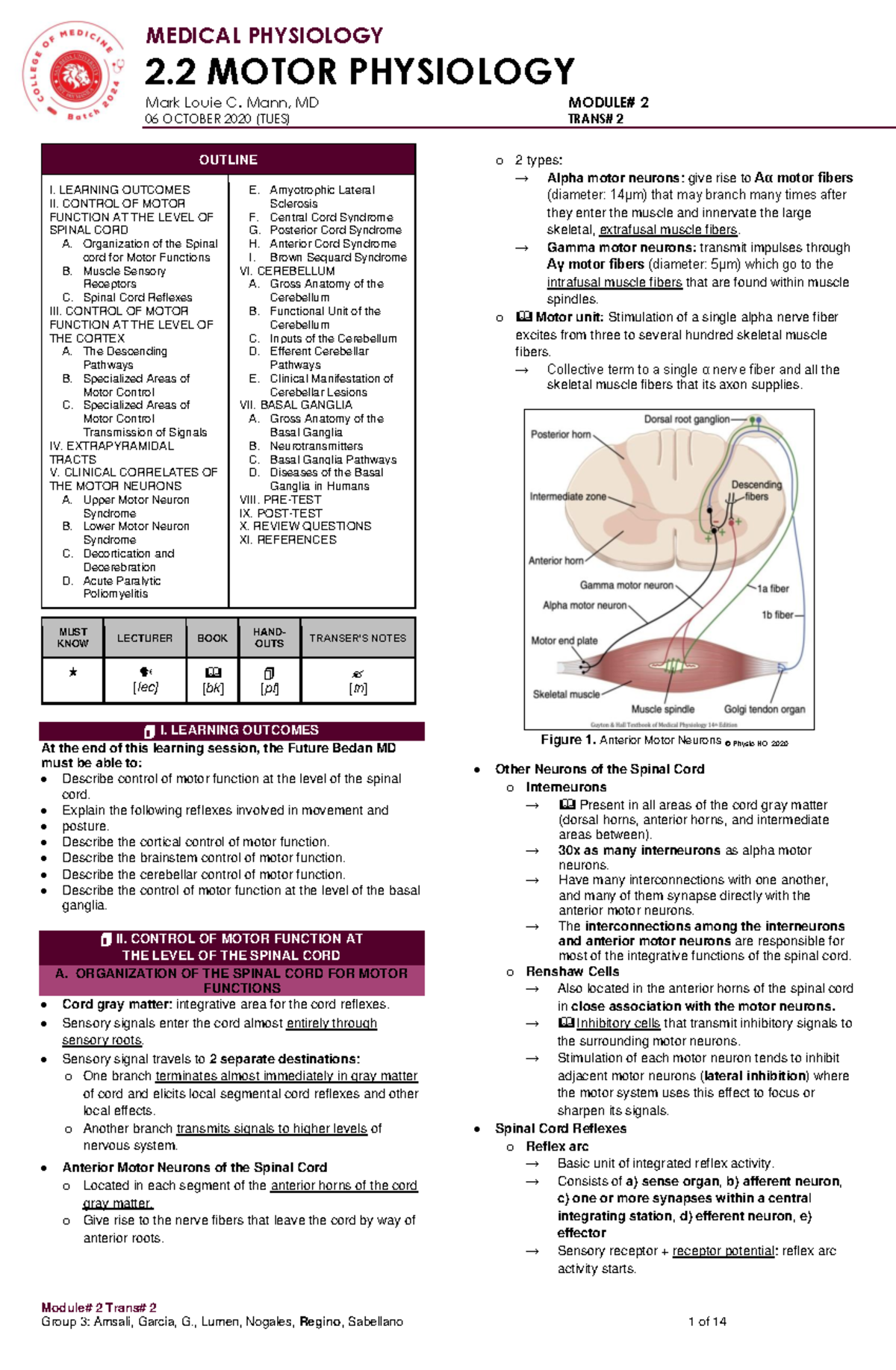 Physio 2.2 Motor Physiology - MEDICAL PHYSIOLOGY 2 MOTOR PHYSIOLOGY ...