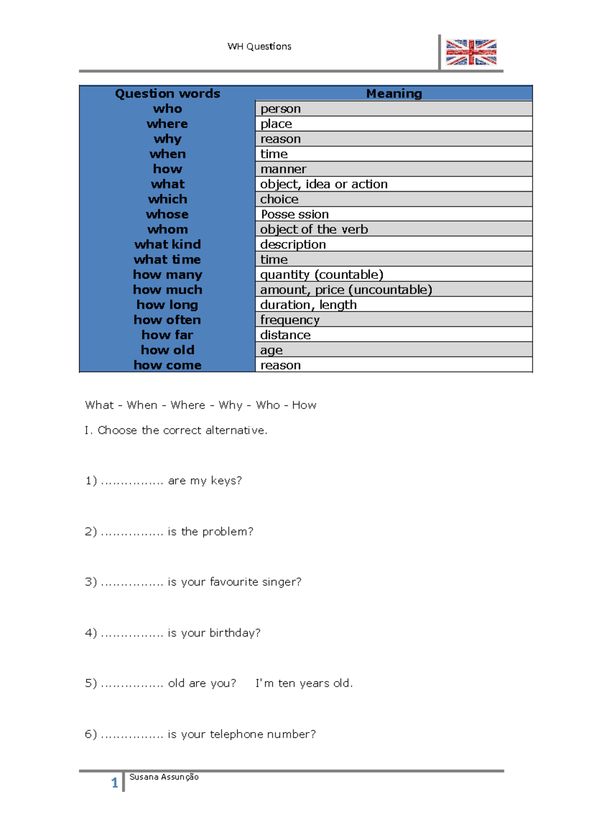 Wh questions notes plus exercises - WH Questions Question words Meaning ...