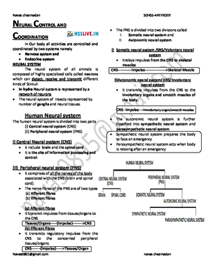 Hsslive-XI-zoology-19- Excretory Product AND Their Elimination ...