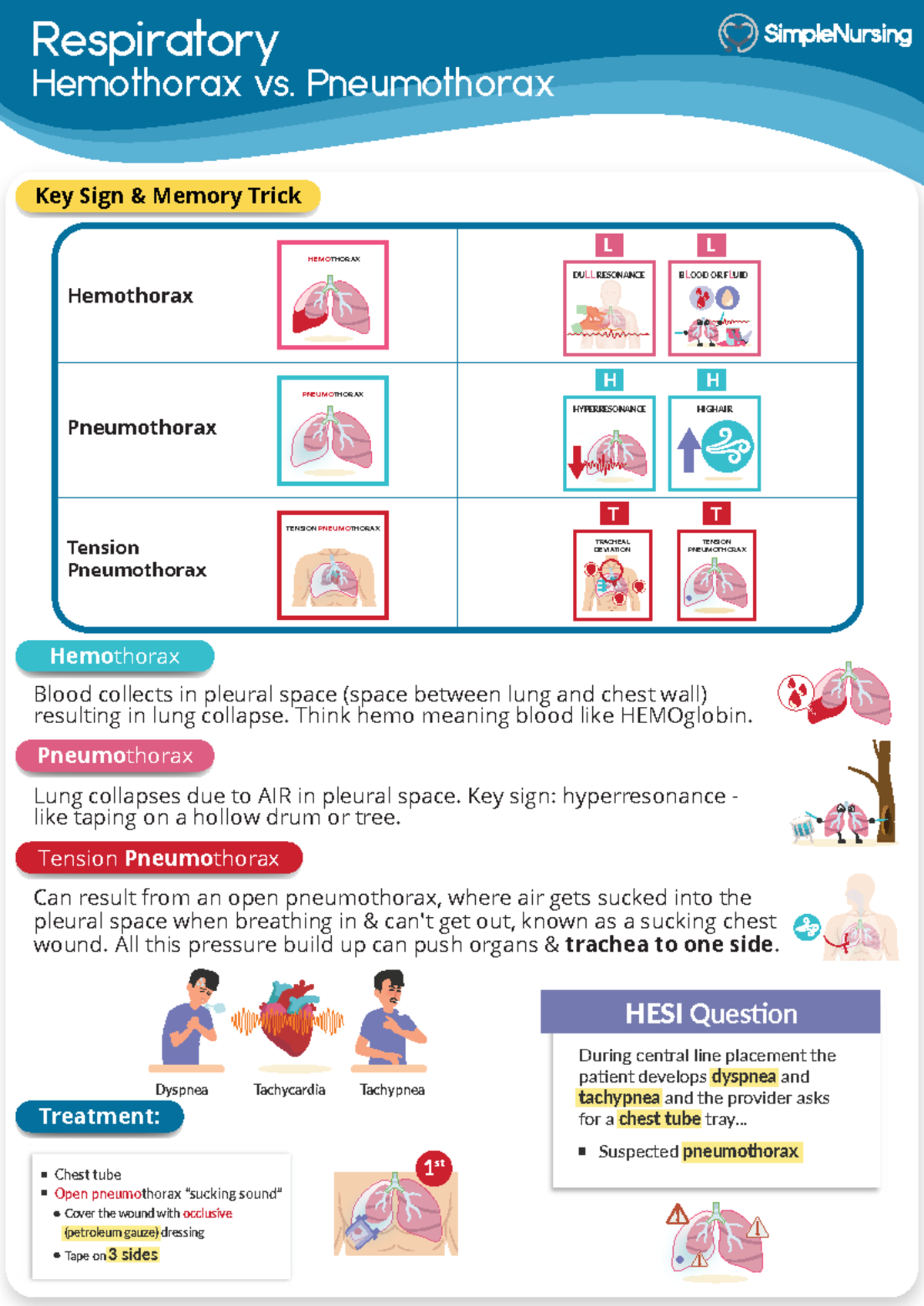 Study guide resp - amazing tools - Respiratory Hemothorax vs ...