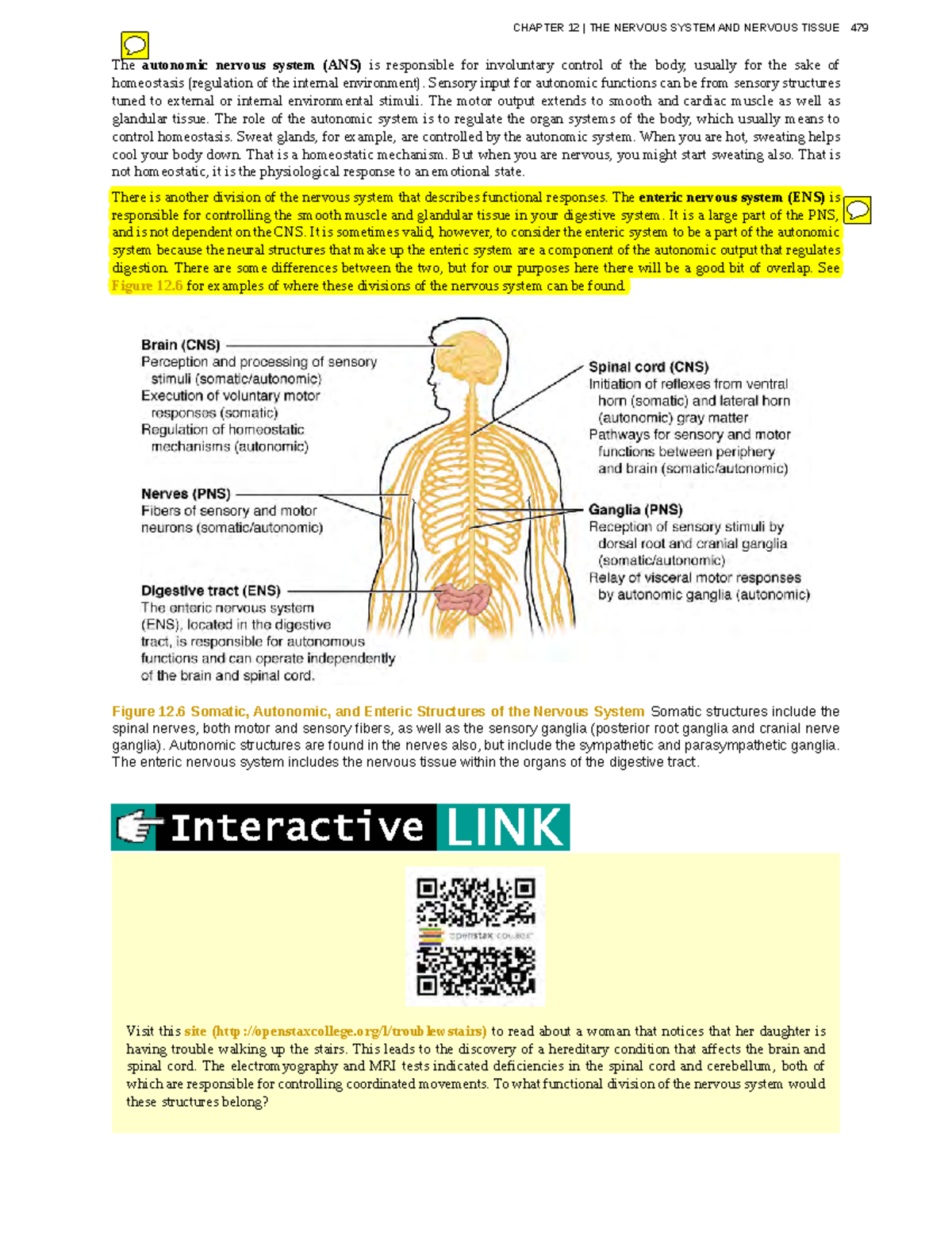 Anatomy-physiology-163 - The autonomic nervous system (ANS) is ...