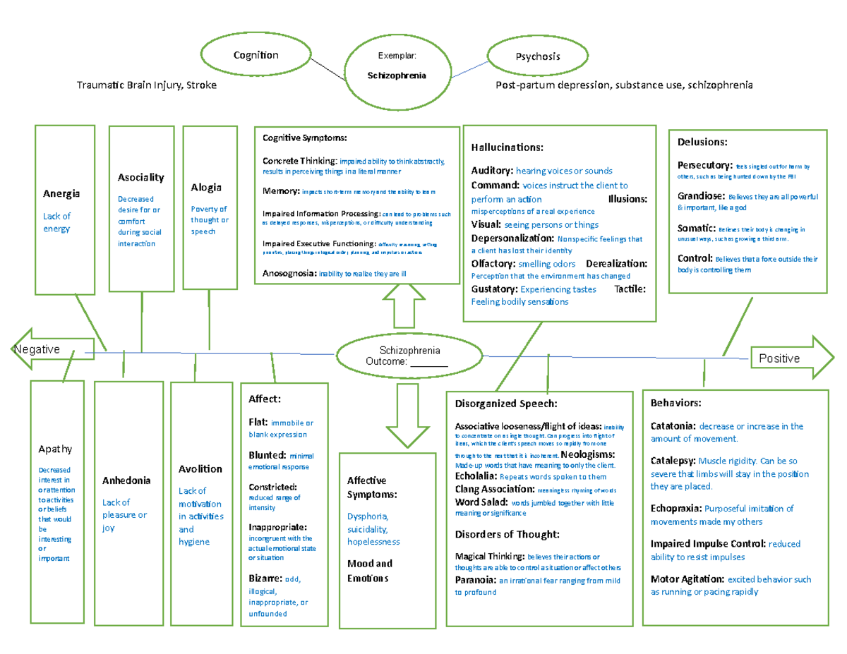 Schizophrenia Concept Map - Traumatic Brain Injury, Stroke Post-partum ...