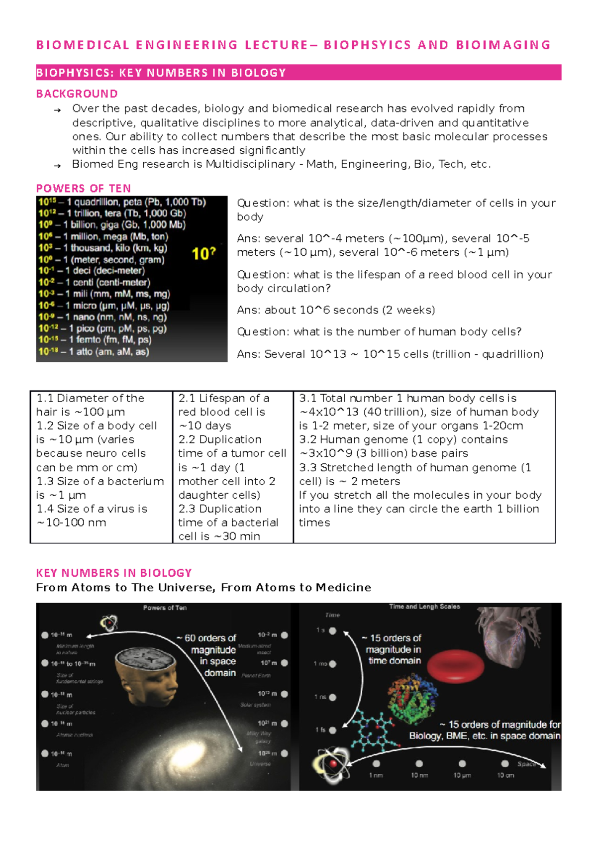 Intro to Biomed lecture notes - biophysics and bioimaging - B I O M E D ...