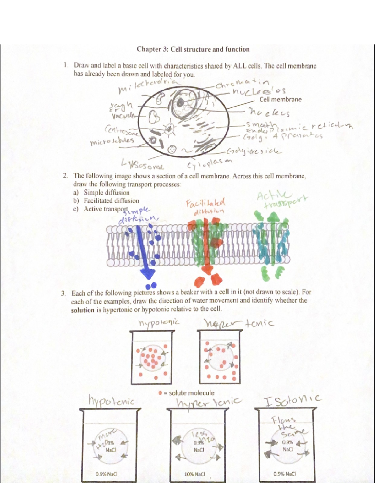 Bio work sheet 3 - BIOL 110 - Studocu
